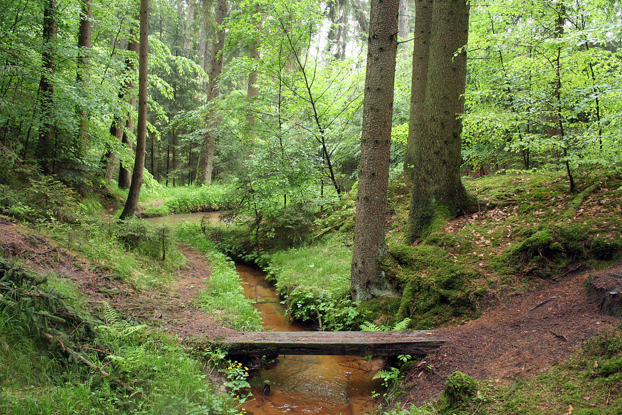 Reichswaldweg | GPS Wanderatlas