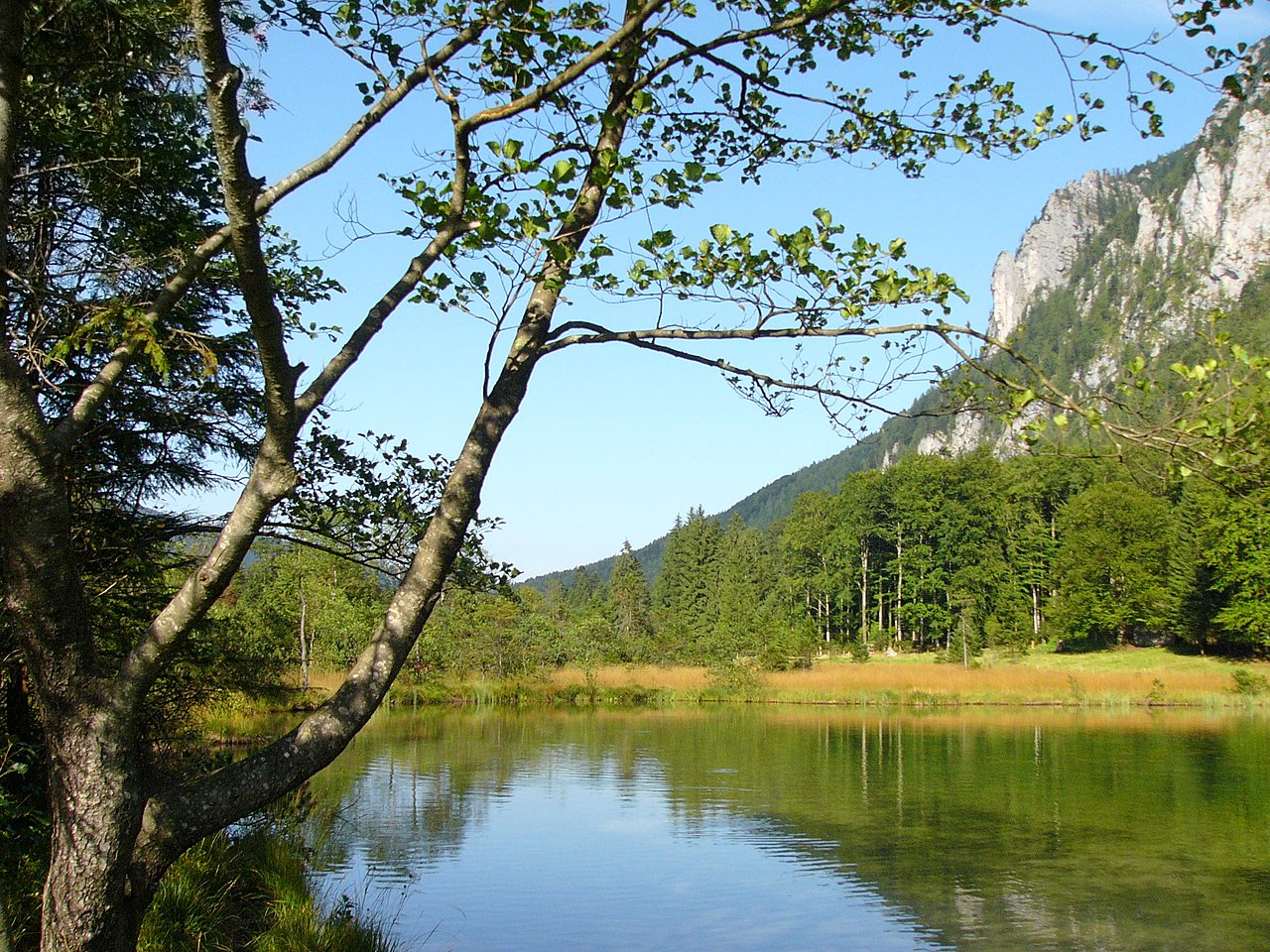 Falkensee, Wildenmoos und Weißbachfälle: Rundtour bei Inzell | GPS ...