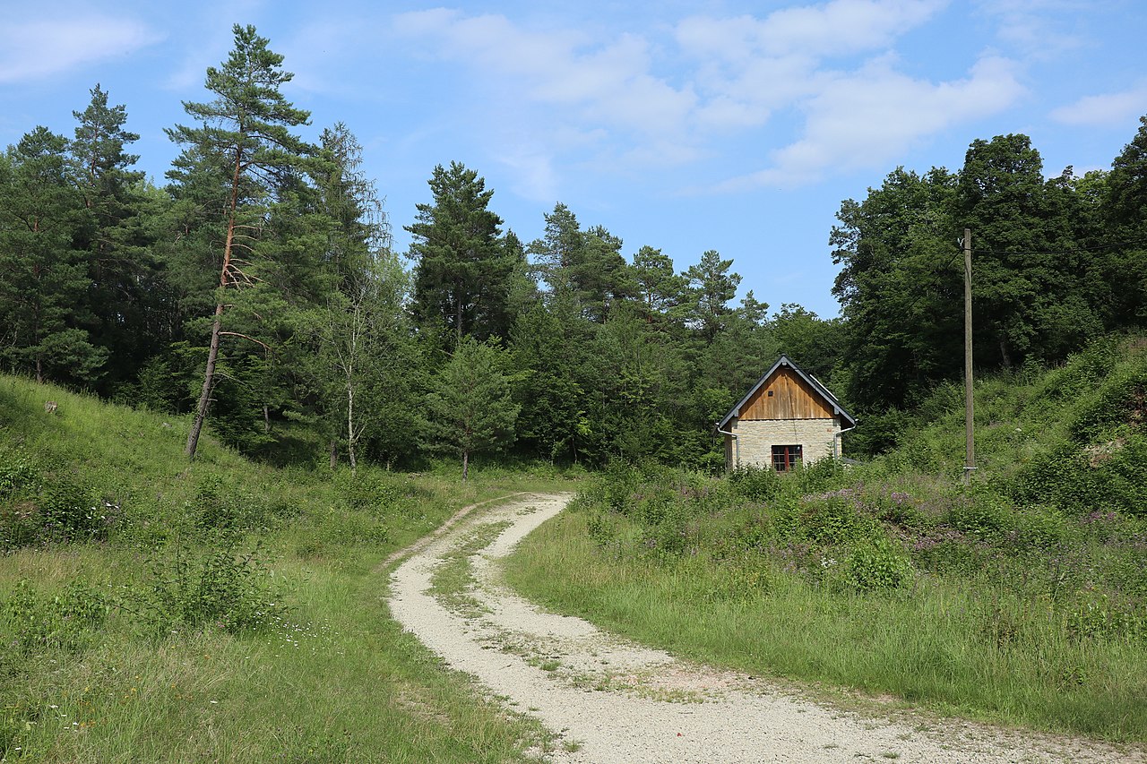 Éislek Pad Gilsdorf | GPS Wanderatlas