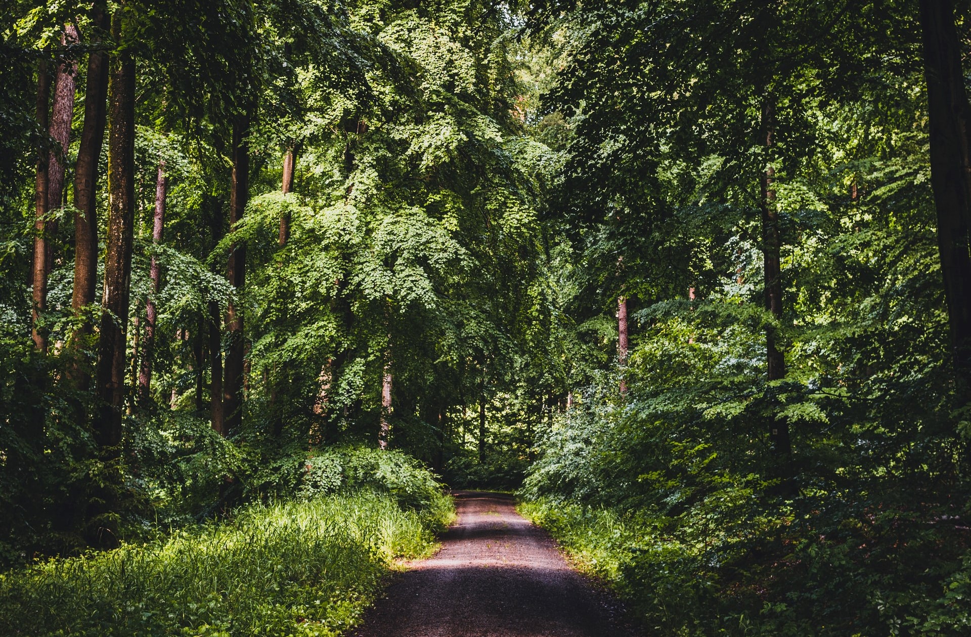 Spessart | GPS Wanderatlas