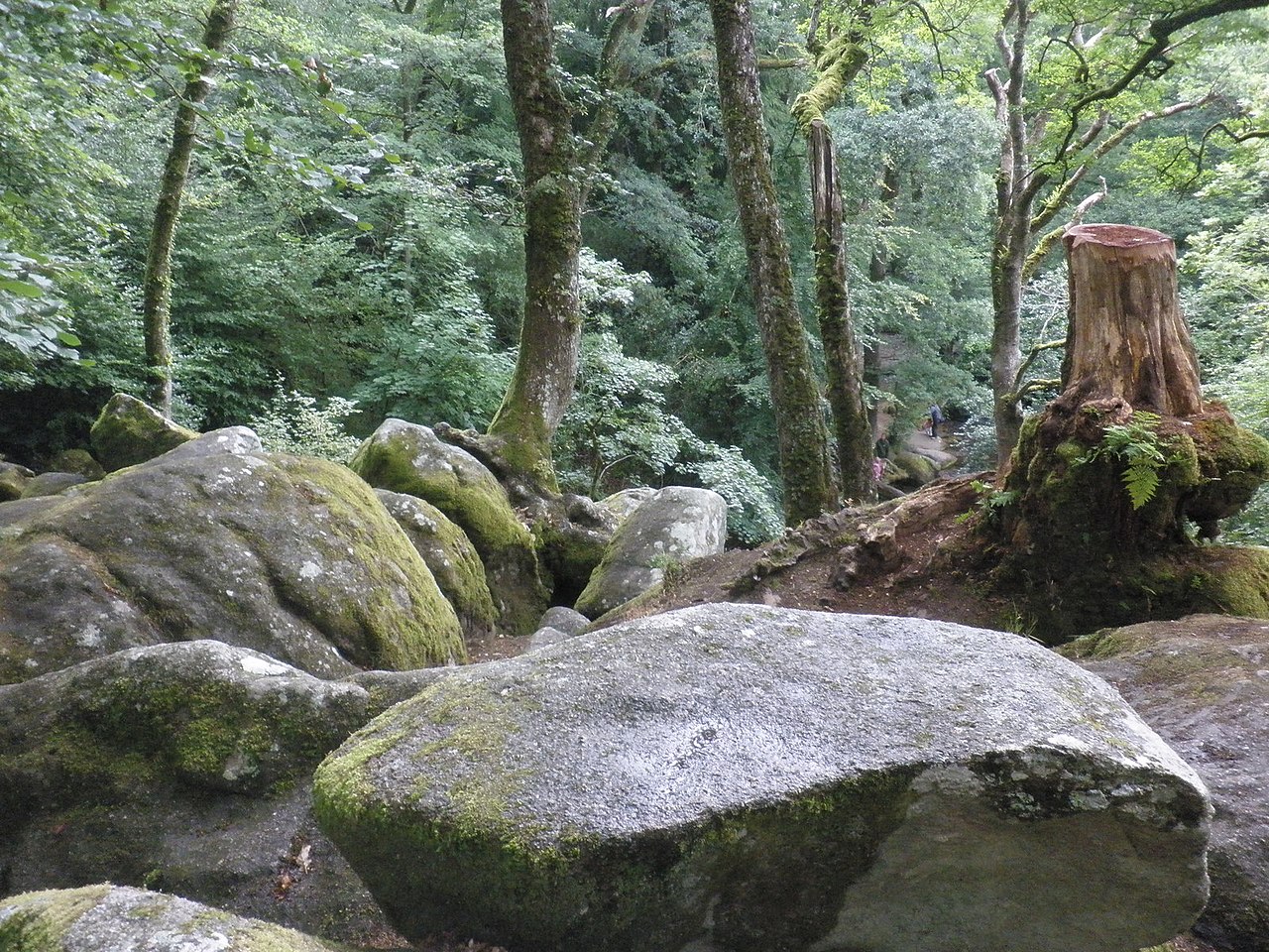 Becky Falls Rundtour (Dartmoor National Park) | GPS Wanderatlas