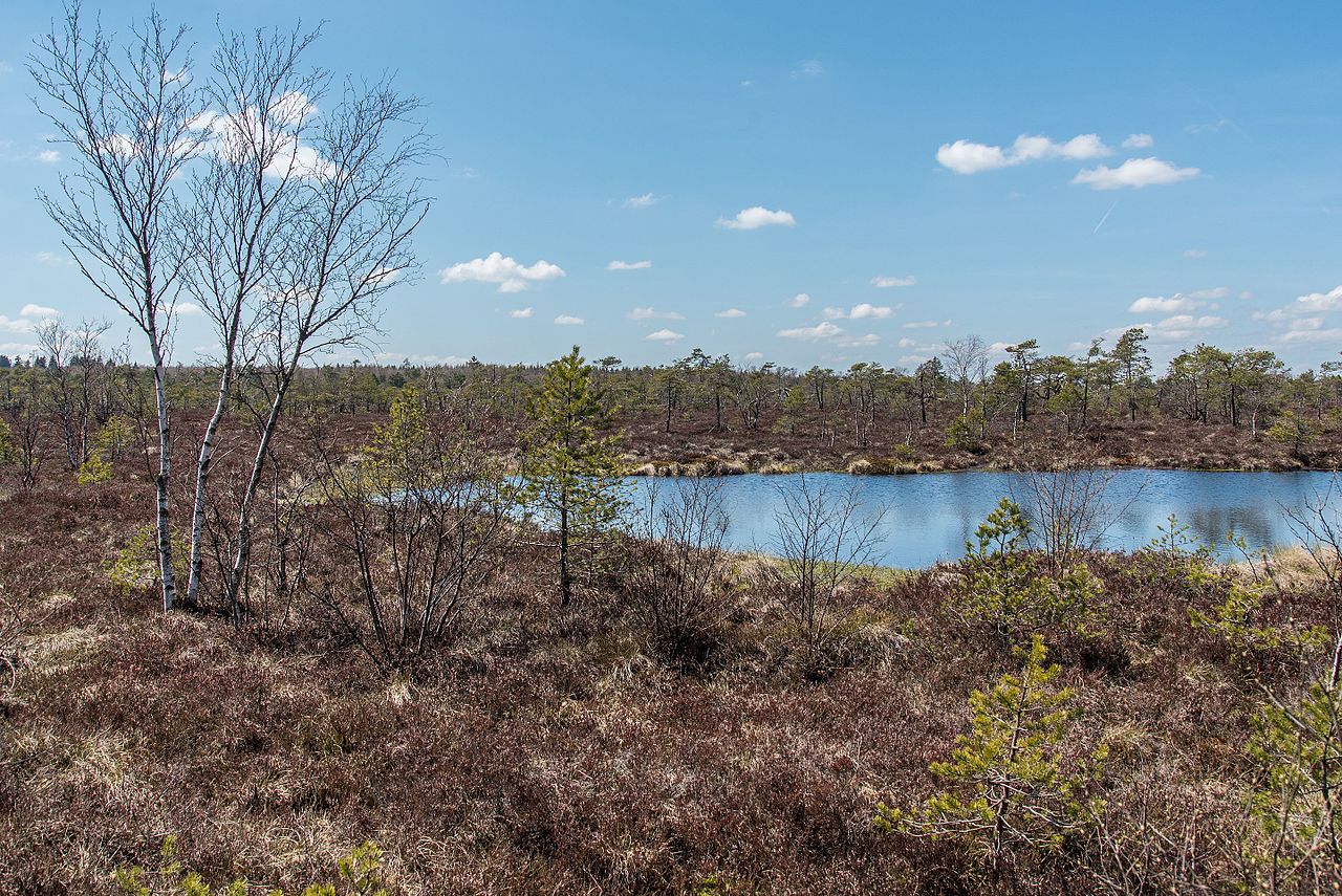 Schwarzes Moor Rundwanderung (Bayerische Rhön) | GPS Wanderatlas