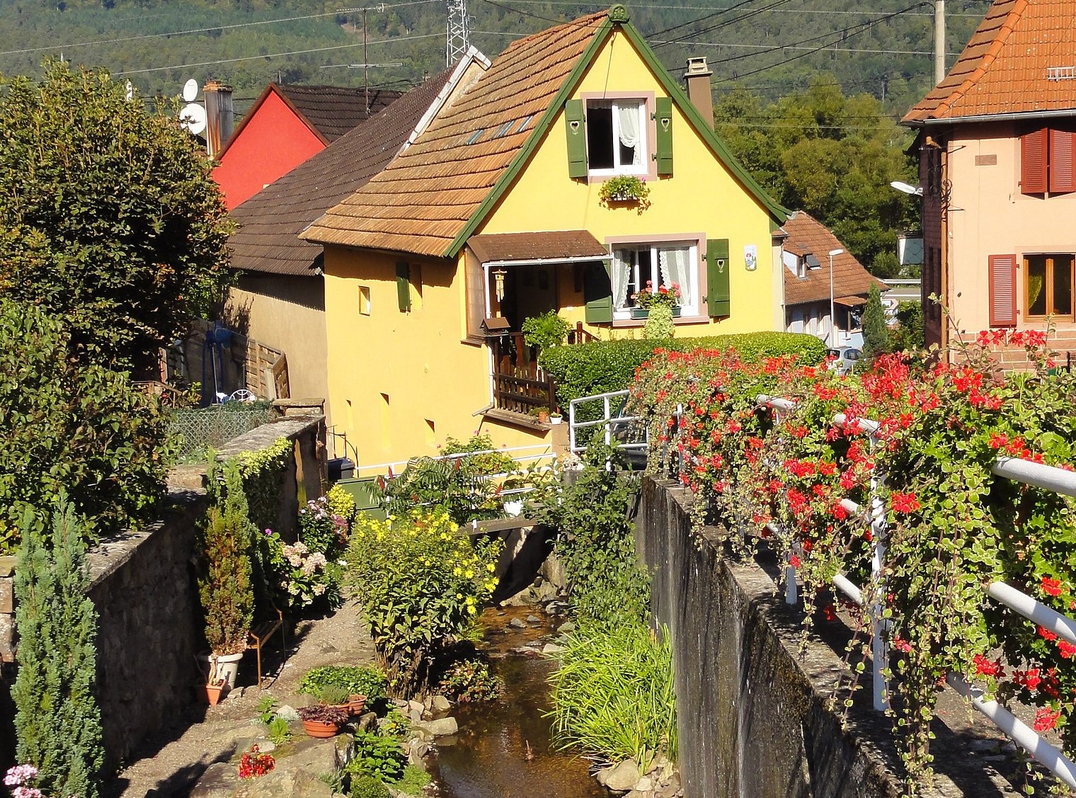 Rundtour Urmatt-Col du Bruchberg-Muhlbach an der Bruche | GPS Wanderatlas