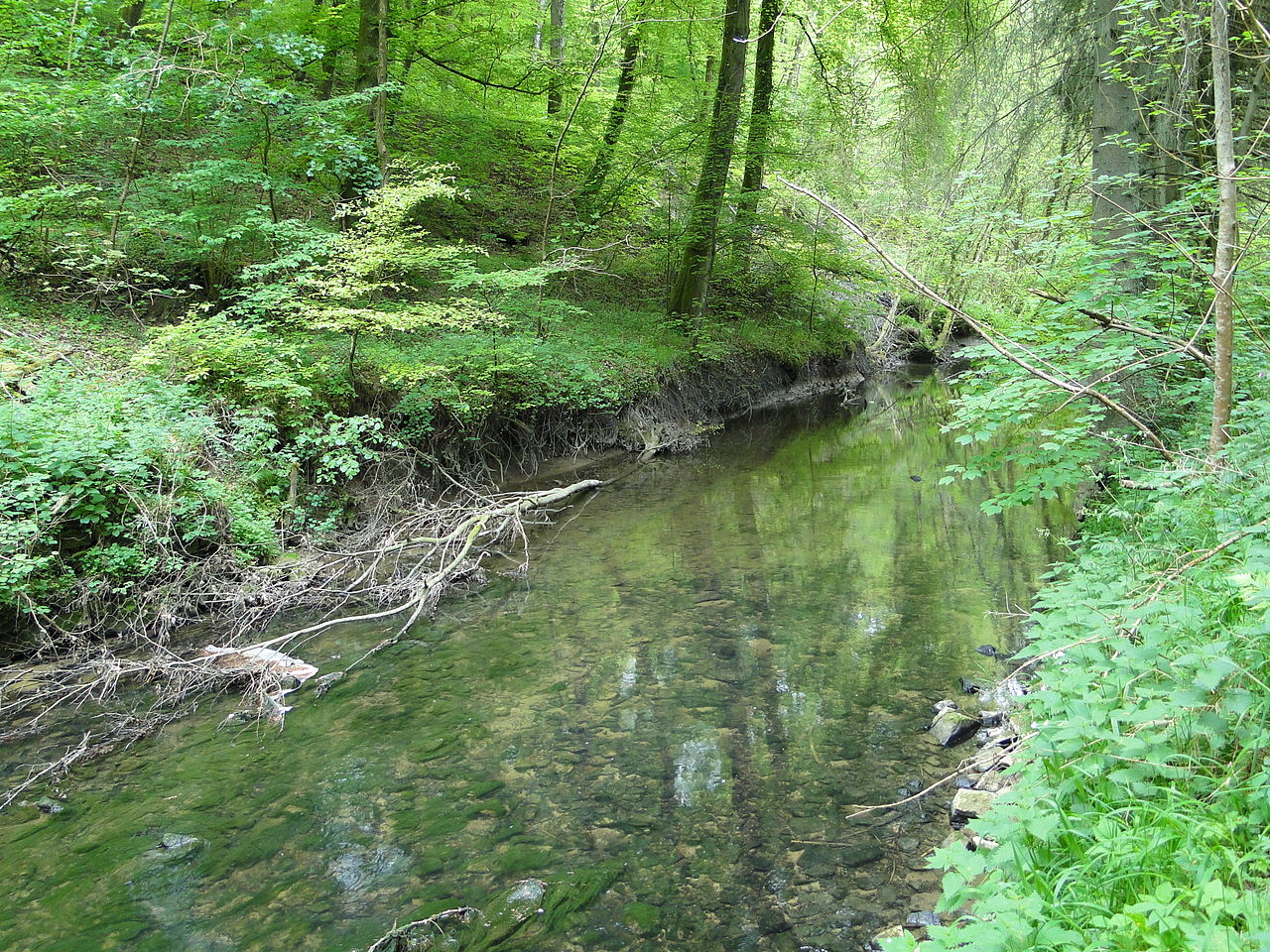 Wanderung ins Mamertal | GPS Wanderatlas