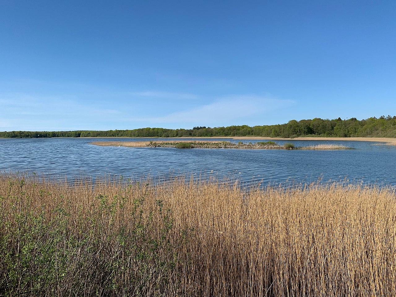 Rund um den Gurre Sø | GPS Wanderatlas