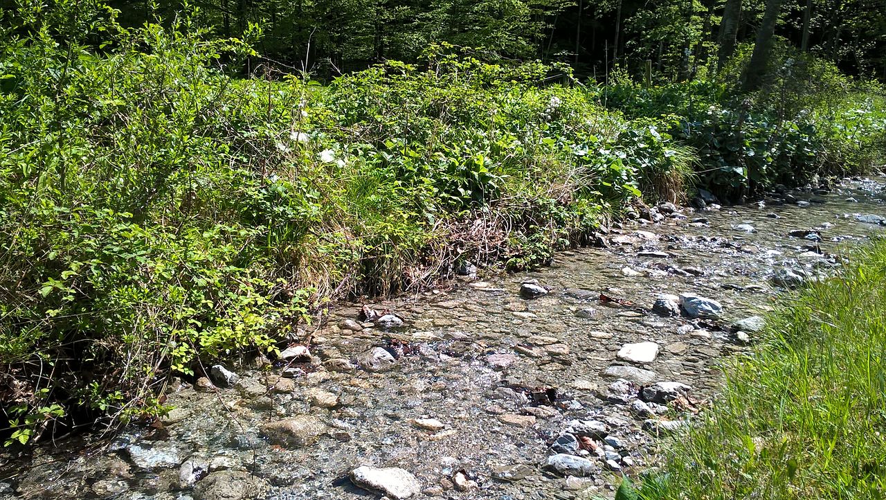 Jocher Höhenweg | GPS Wanderatlas