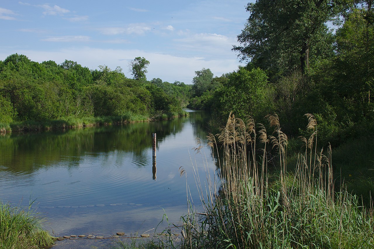 Unberührte Auen an der Lobau (Nationalpark Donau-Auen) | GPS Wanderatlas