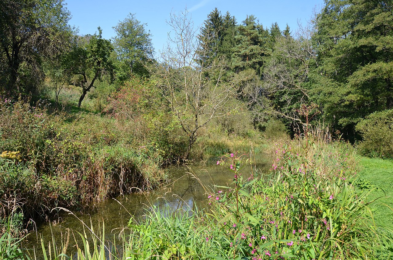 Böllatmühle-Rundweg (Balingen) | GPS Wanderatlas