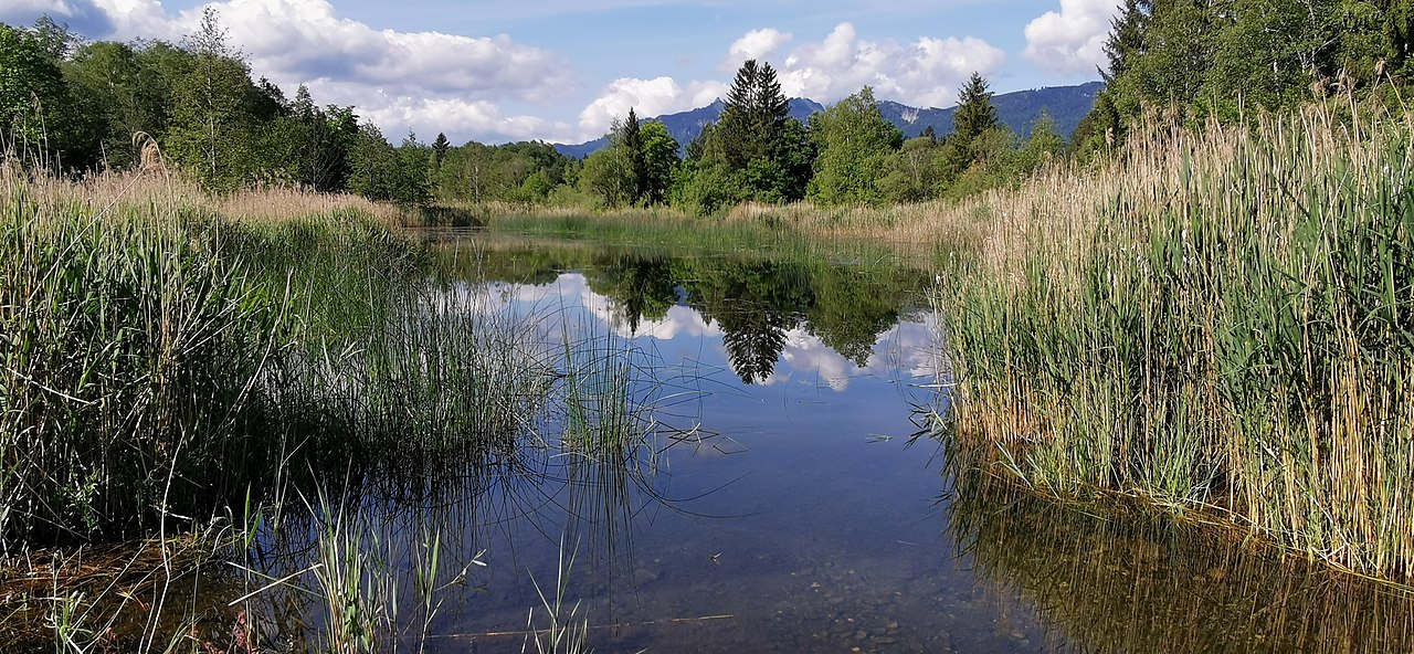 Von Murnau zum Moosbergsee und ins Niedermoos | GPS Wanderatlas