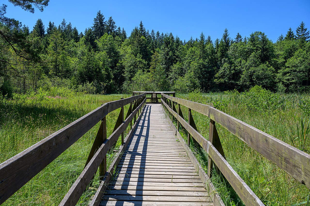 Wanderung ins Leonfeldner Moor | GPS Wanderatlas