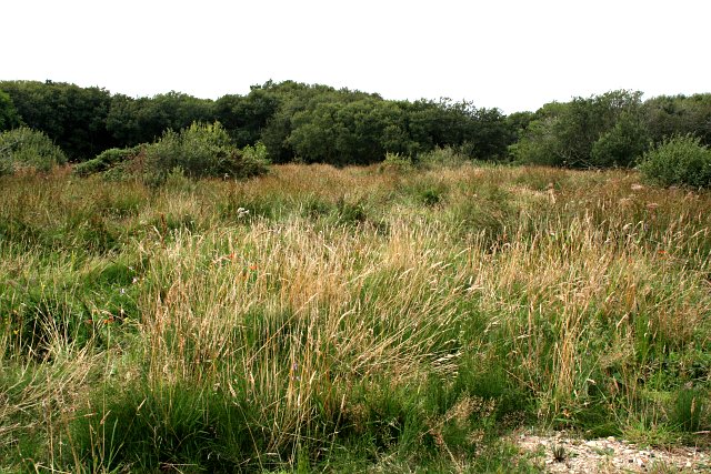 Goss Moor Trail (Cornwall) | GPS Wanderatlas