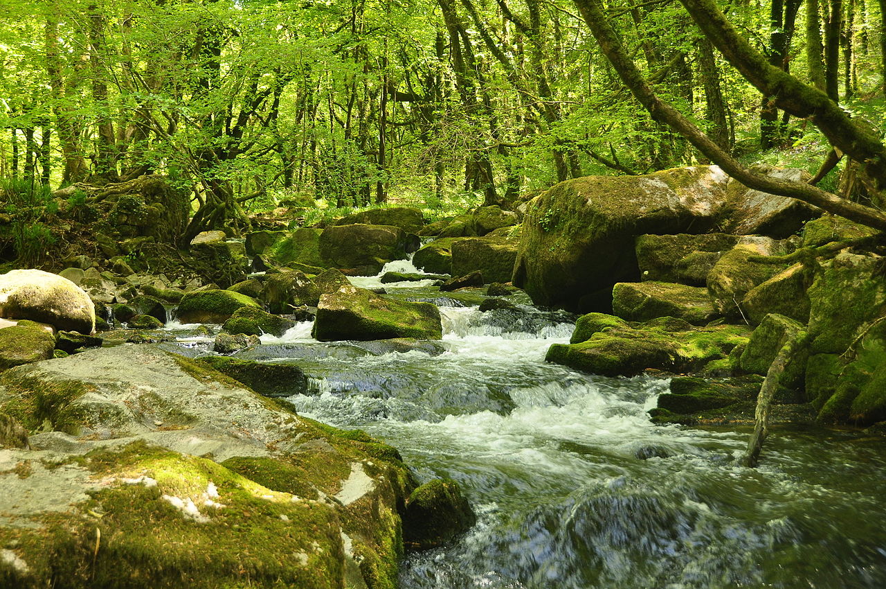 Golitha Falls Walk (Cornwall) | GPS Wanderatlas