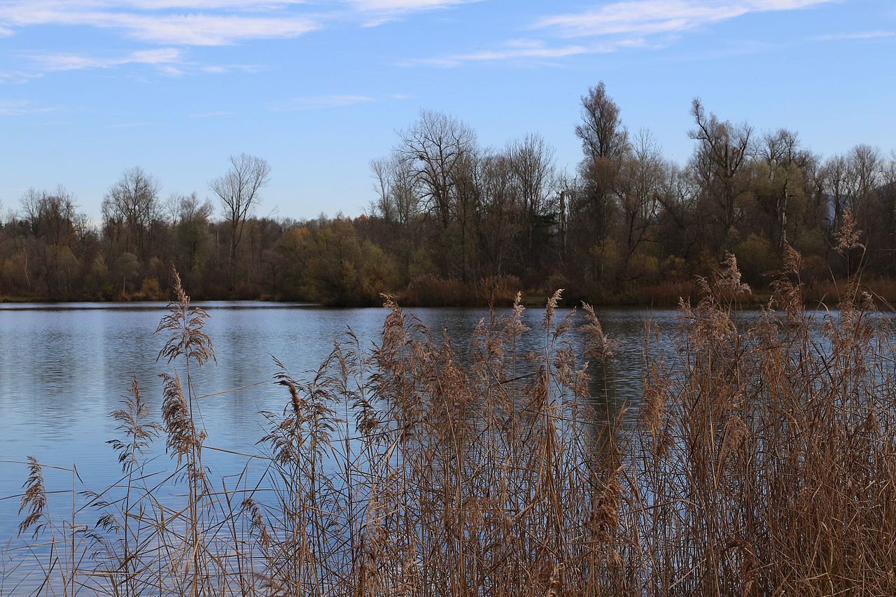 Happinger Seenrunde am Inn | GPS Wanderatlas