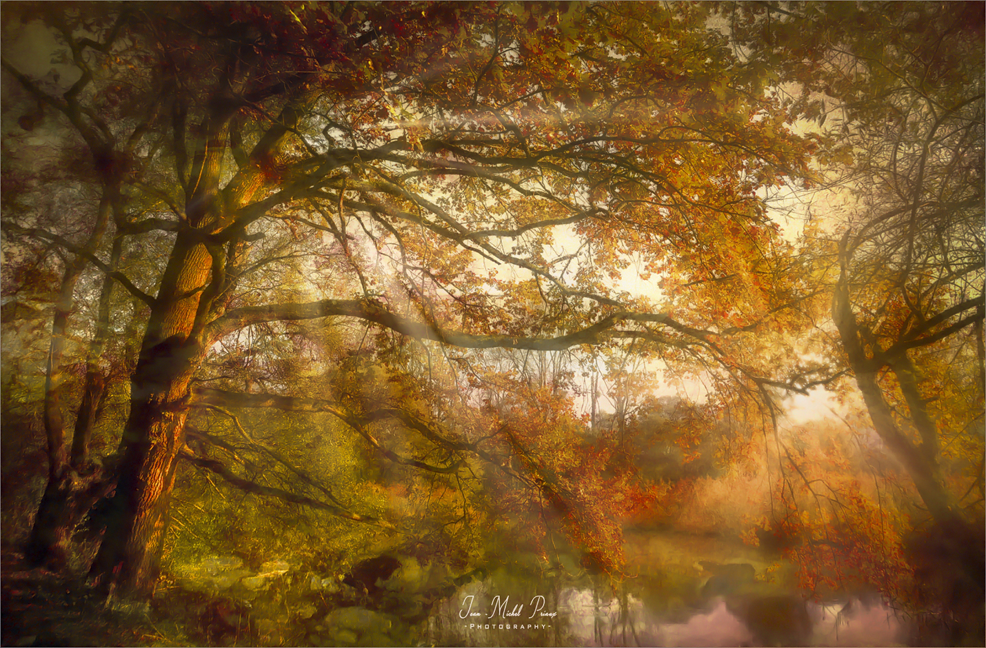 Ile de Rhinau: Spaziergang zwischen Rhein und Grand Canal im Elsass ...