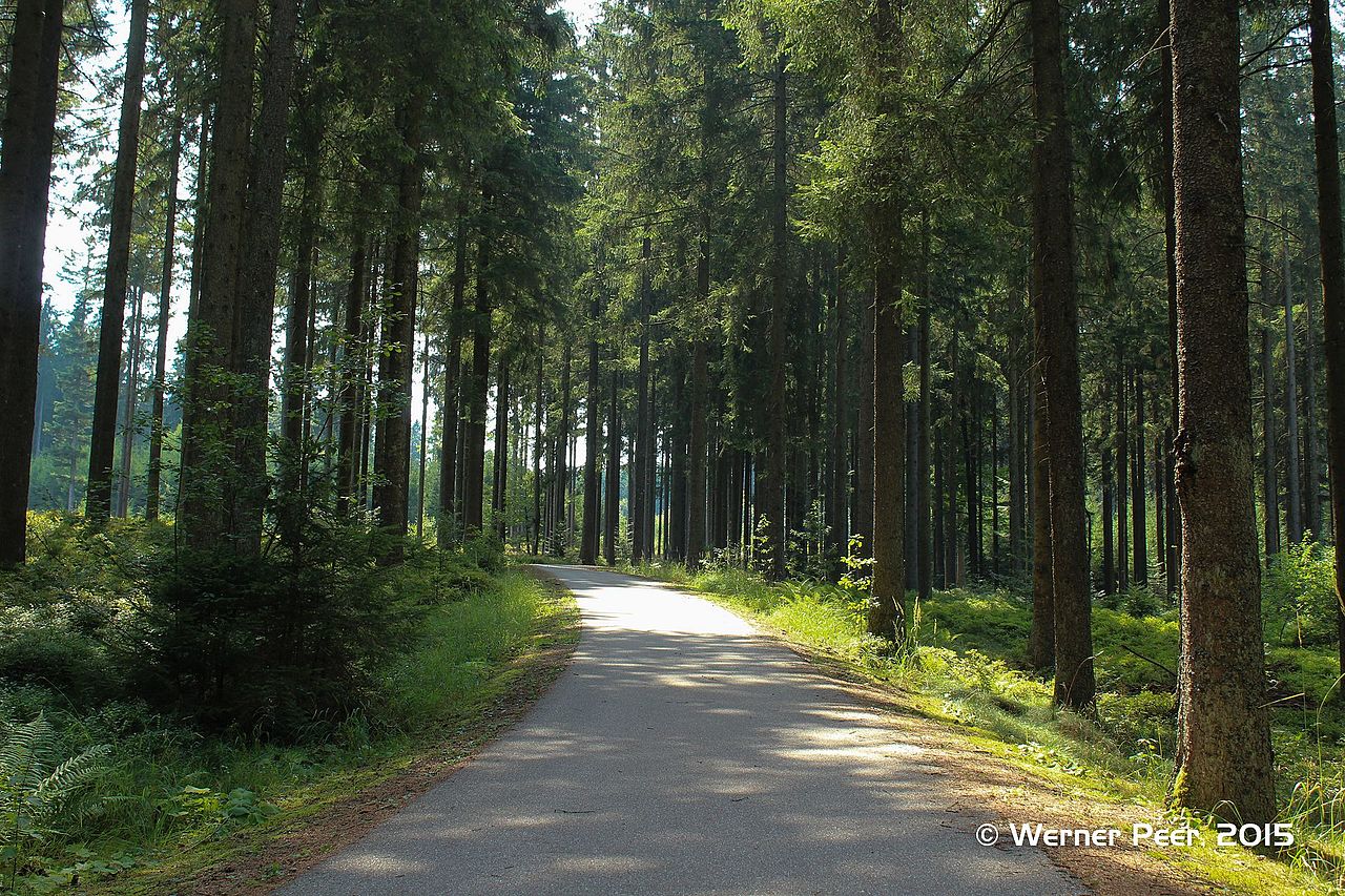 Vom Aussichtsturm Kobernaußerwald zur Schlaga Stub'm | GPS Wanderatlas