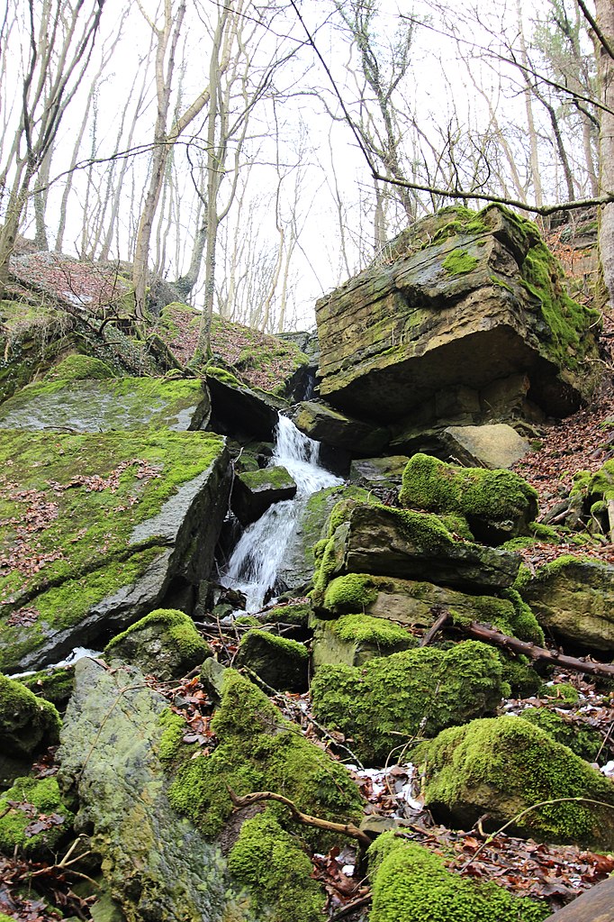Wandersteig Tanzlay: Rundweg um Hüttingen an der Kyll | GPS Wanderatlas