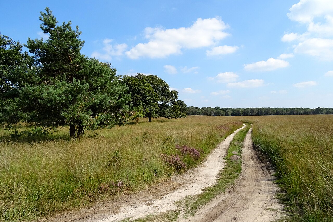 Nationalpark-Route De Hoge Veluwe | GPS Wanderatlas