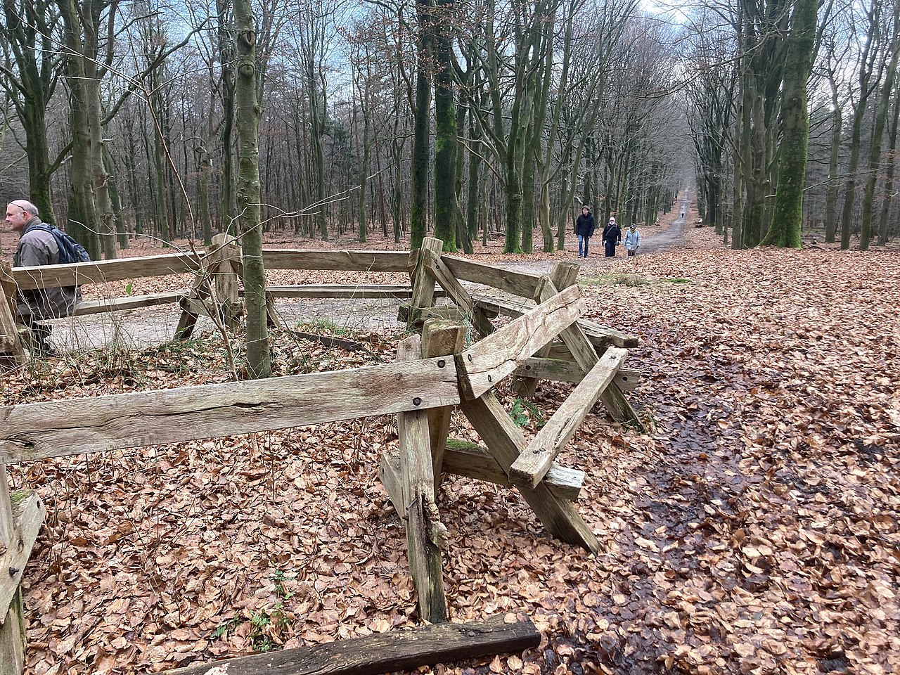 In die Veluwe bei Dieren | GPS Wanderatlas