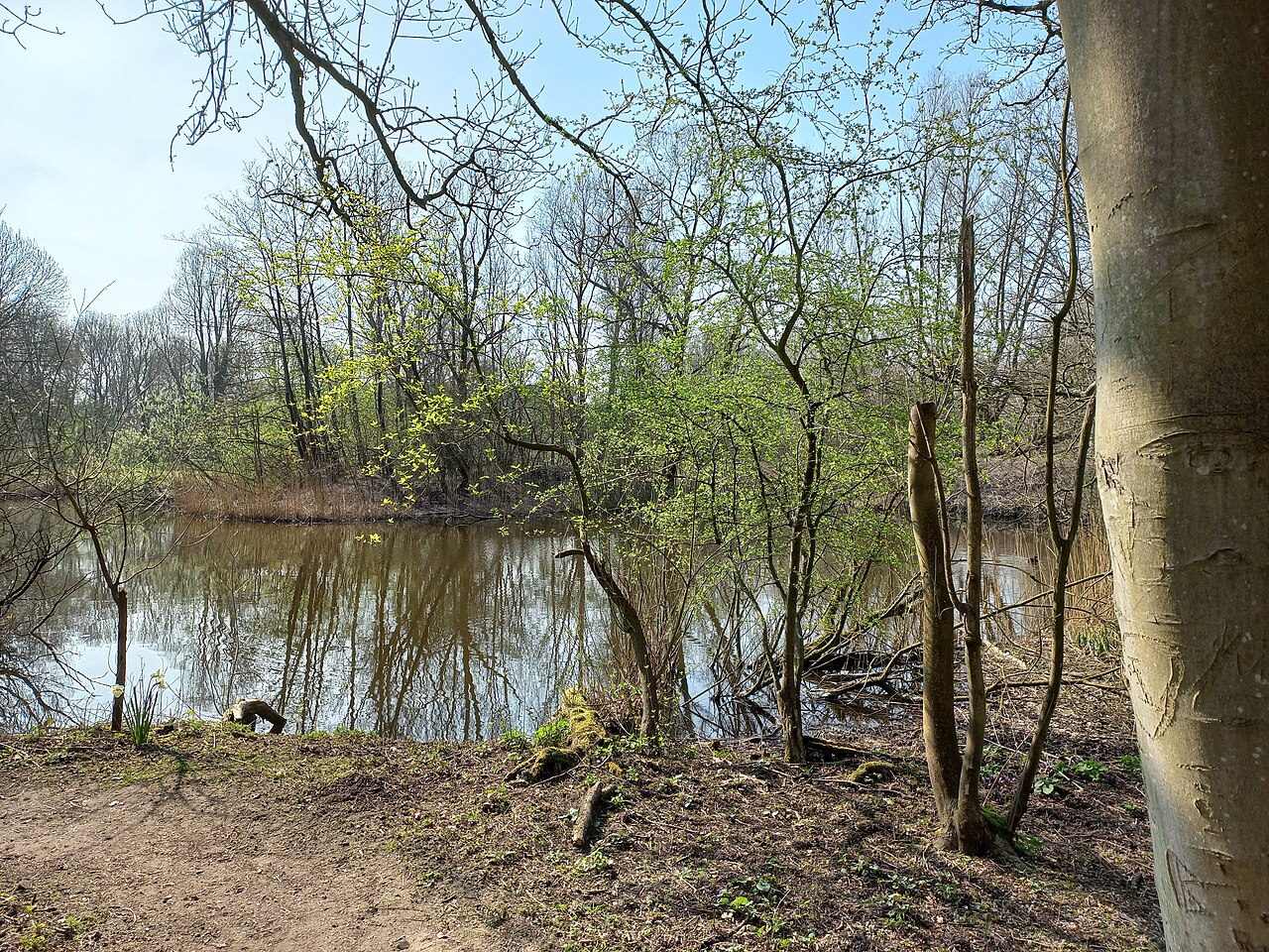 Spaziergang im Sloterpark (Amsterdam) | GPS Wanderatlas