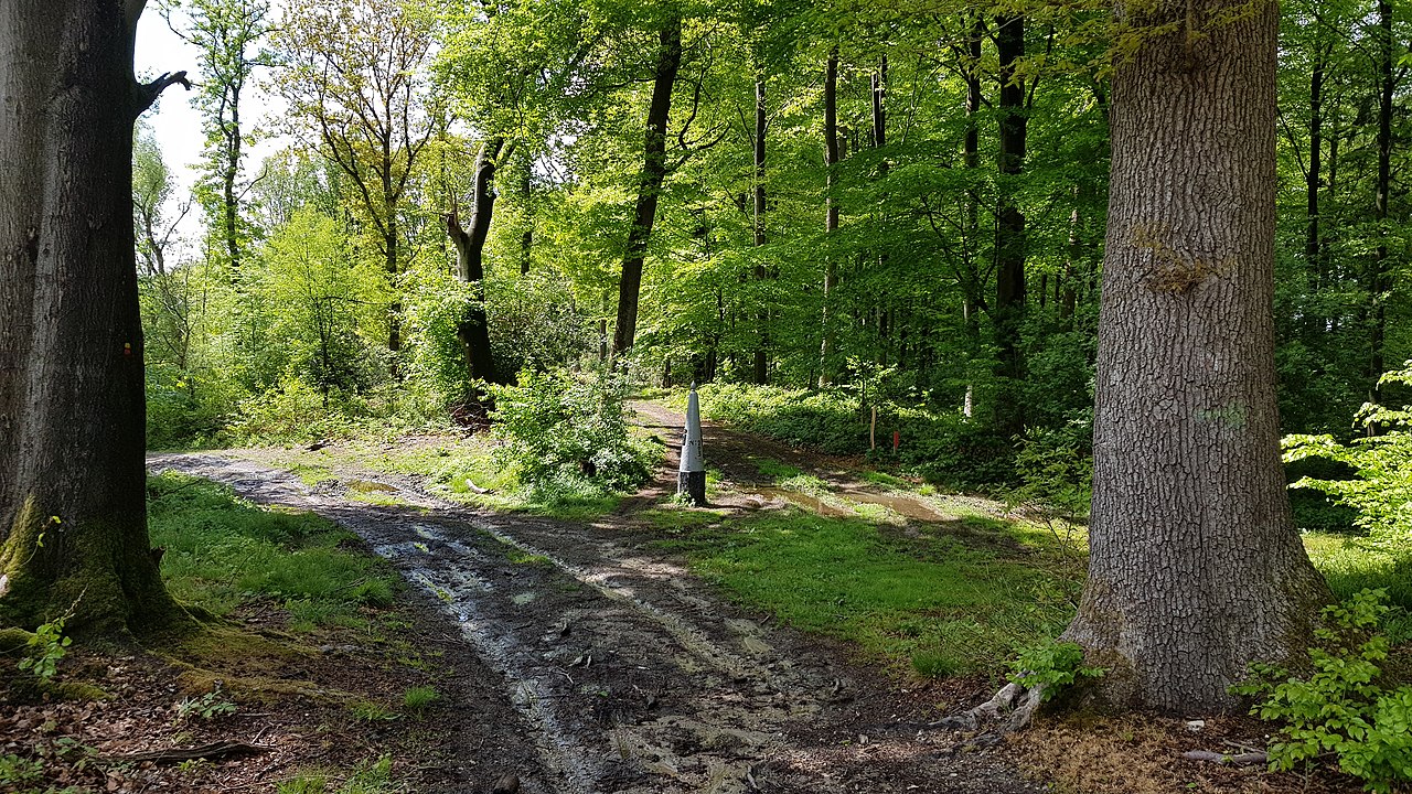 Dutch Mountain Trail | GPS Wanderatlas