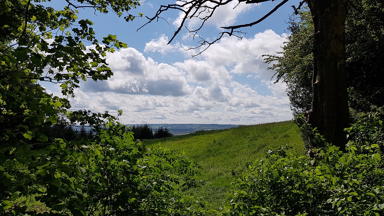 Vaalserberg: Große Rundtour im Dreiländereck | GPS Wanderatlas