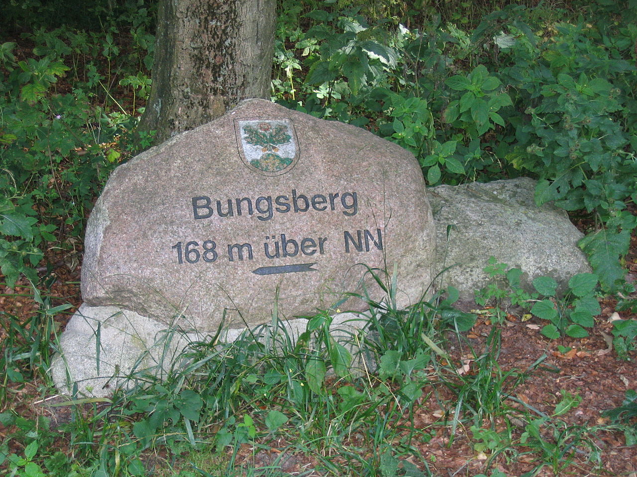 Bungsberg-Runde (am höchsten Berg Schleswig-Holsteins) | GPS Wanderatlas