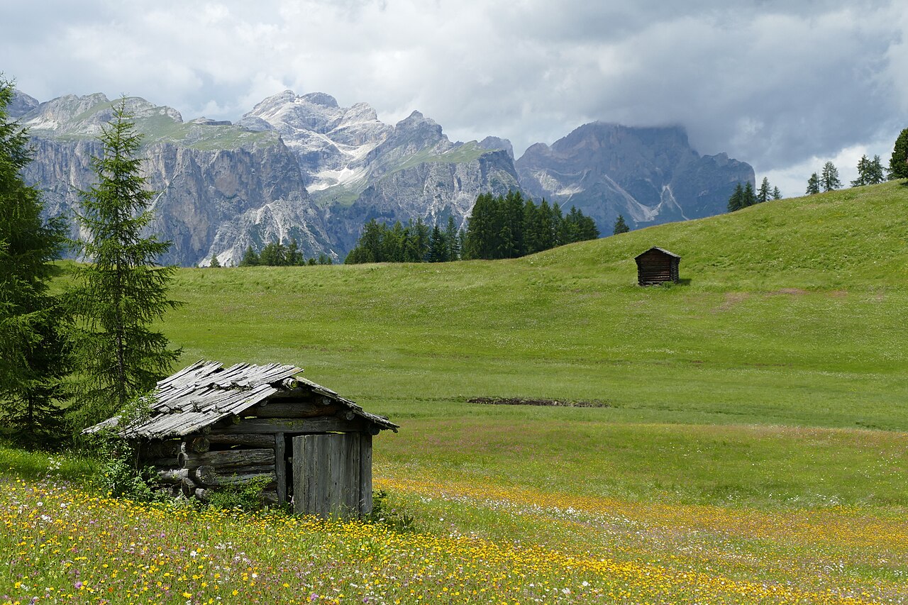 Von Abtei zu den Armentara-Wiesen im Val Badia | GPS Wanderatlas
