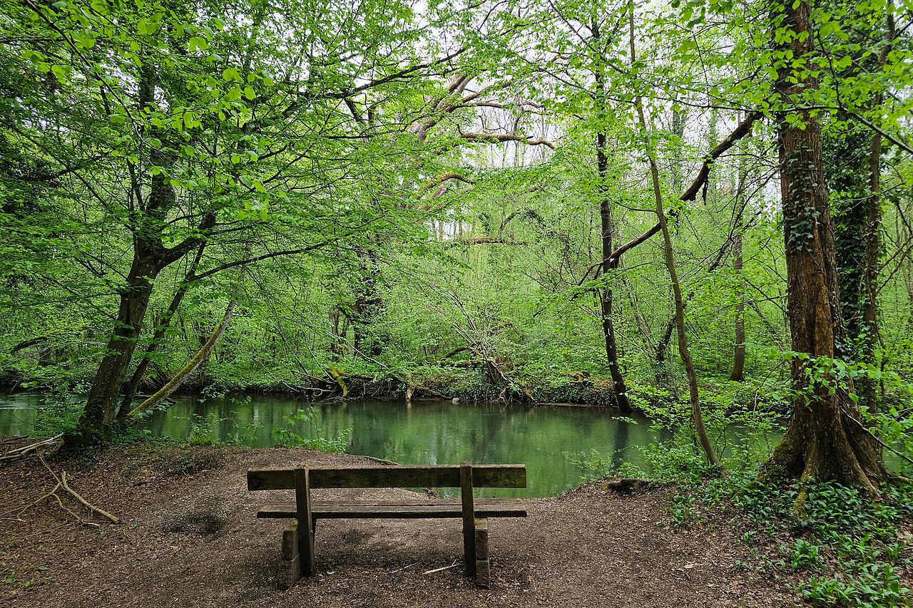 Von der Gartenstadt Stockfeld in den Wald von Neuhof-Illkirch | GPS ...